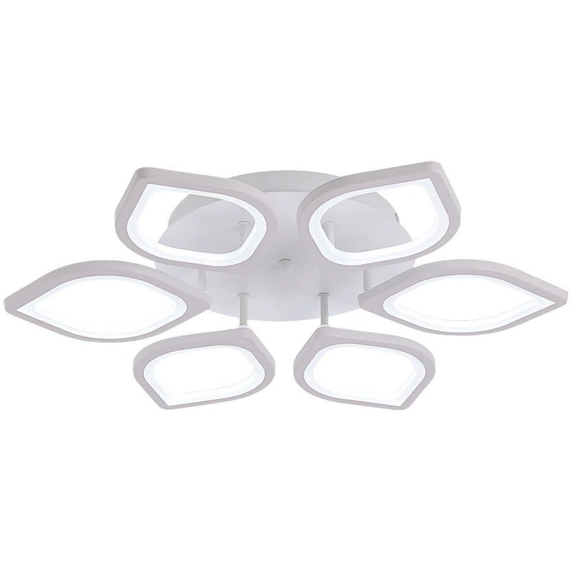 Modern Acrylic LED Ceiling Lights With Remote Control for Living Room